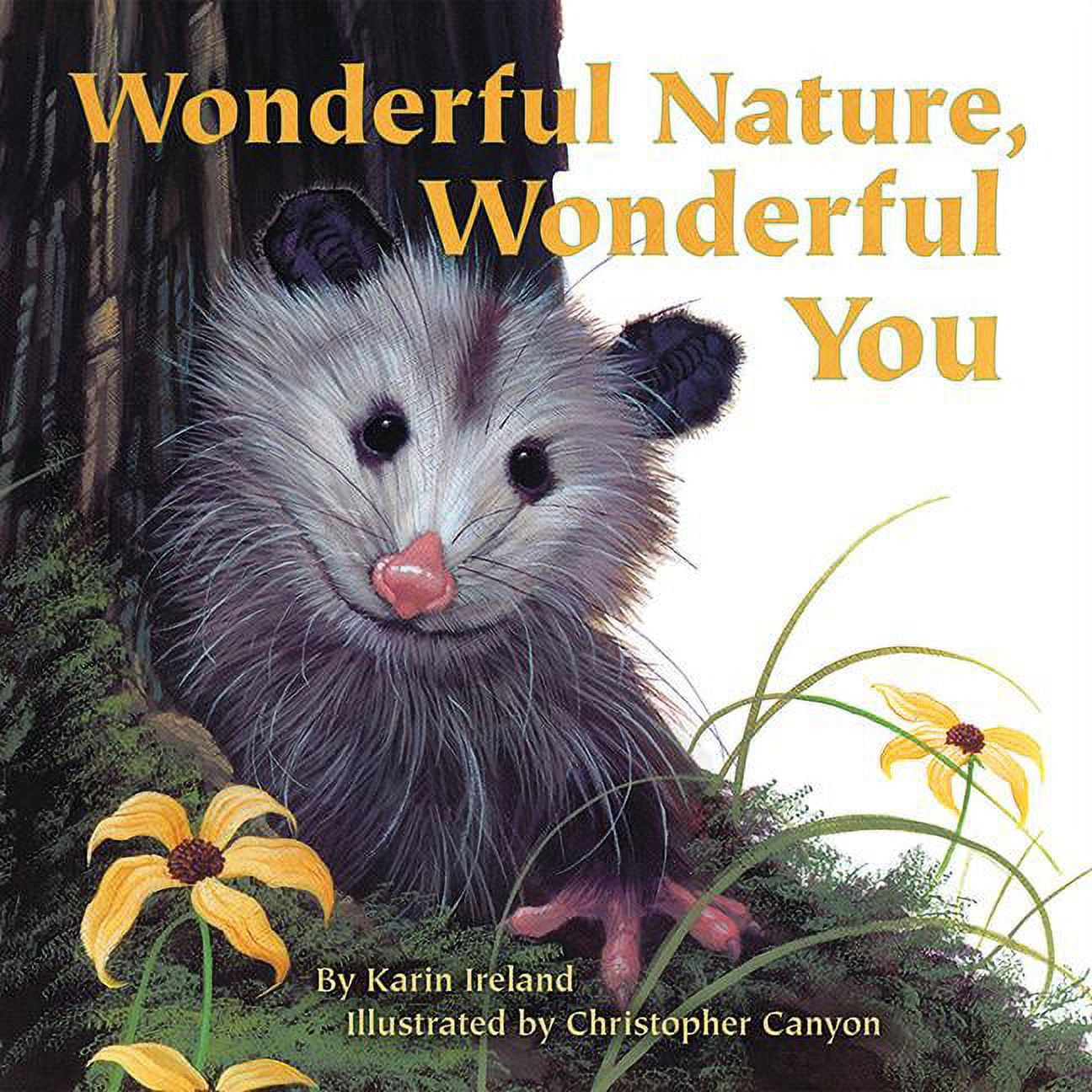 Wonderful Nature, Wonderful You (Hardcover) - Walmart.com