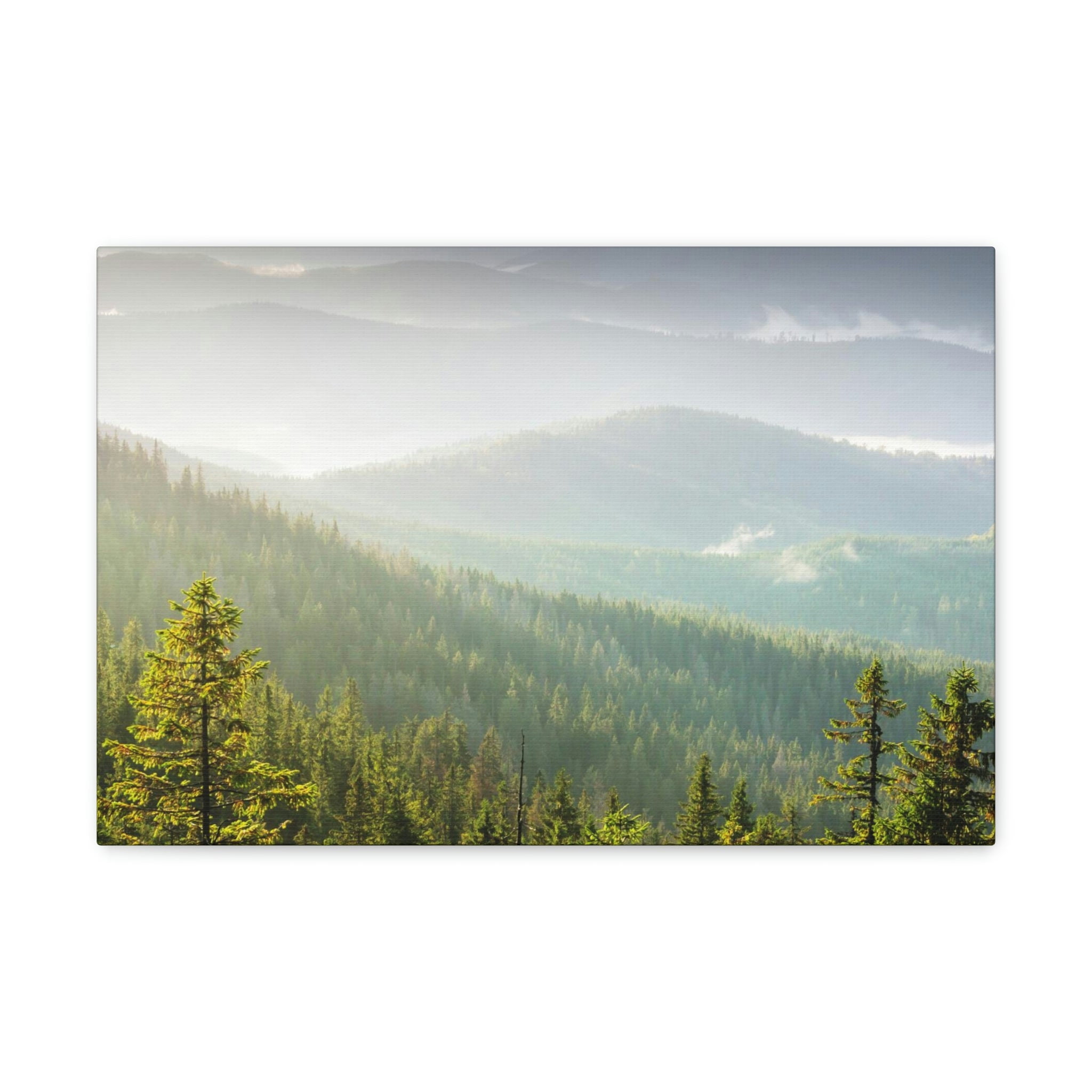 Wonderful Trees on the Mountains Scene Beautiful Spectacular and ...