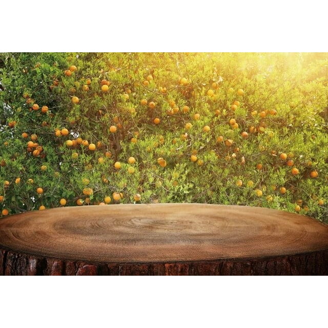 Wonderland Fall Festival Farm Red Trees Background Kids Birthday ...