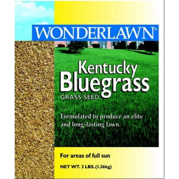 Wonderlawn Kentucky Bluegrass Full Sun Grass Seed 1 lb - Walmart ...