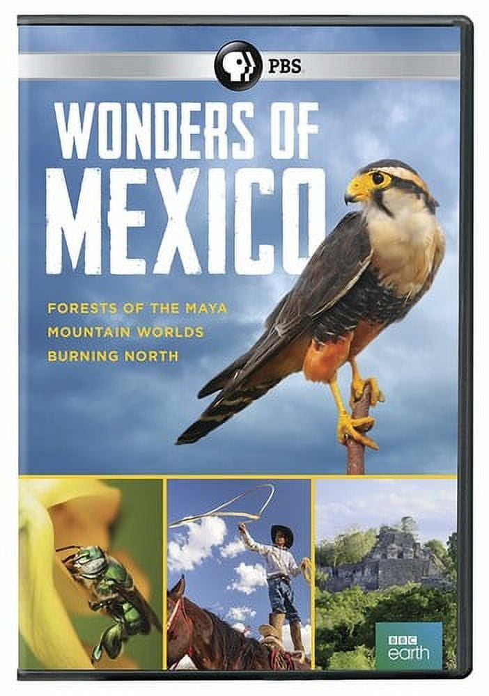 Wonders Of Mexico (DVD), PBS (Direct), Documentary - Walmart.com