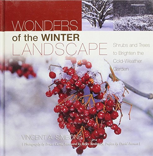 Wonders of the Winter Landscape: Shrubs and Trees to Brighten the Cold ...