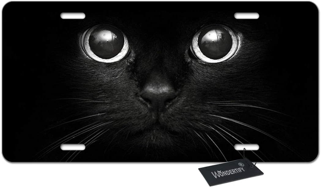 Wondertify License Plate Black Cat with Eye Looking Decorative Car ...