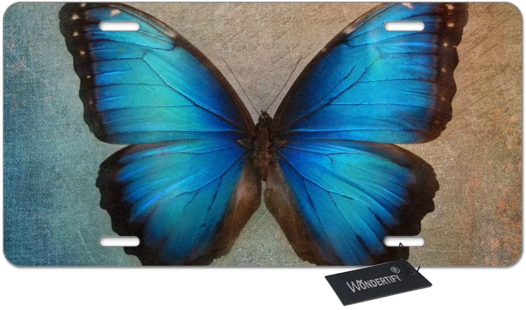 Wondertify License Plate Blue Butterfly with Vintage Background Oil ...