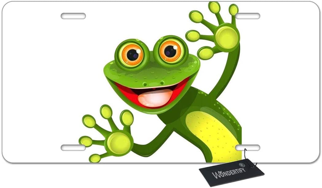 Wondertify License Plate Funny Cartoon Frog Smile Watch Decorative Car ...