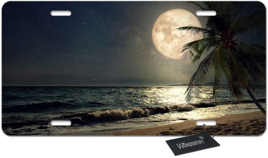 Wondertify License Plate Tropical Beach Palm Tree with Full Moon Starry ...