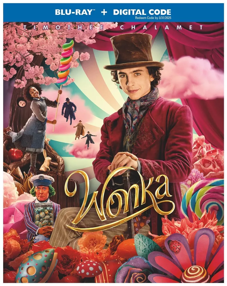 Wonka Bluu* ray Timothée Chalamet | Book It - Walmart.com