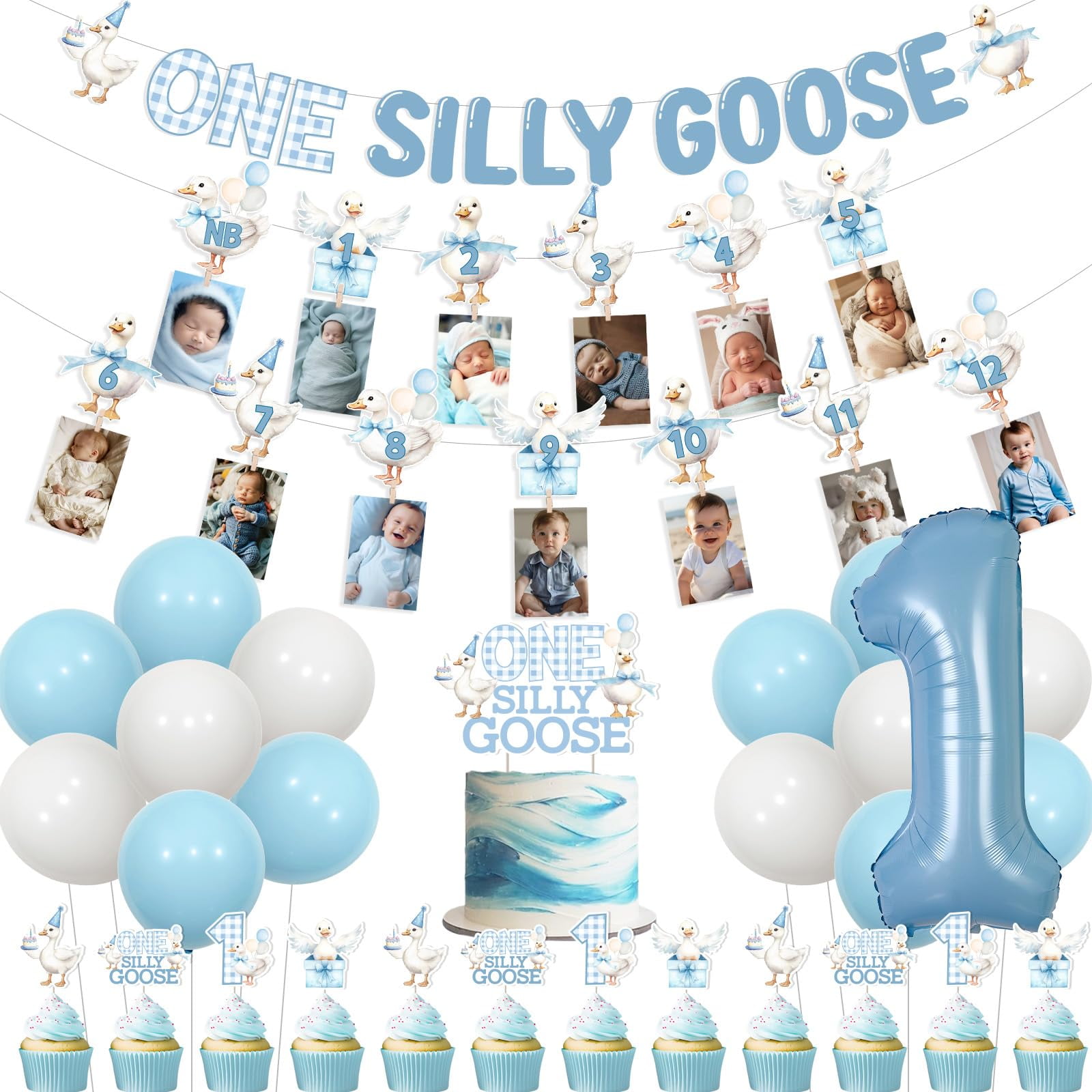 Wonmelody Goose First FEV6 Birthday Decorations for Boy One Goose ...