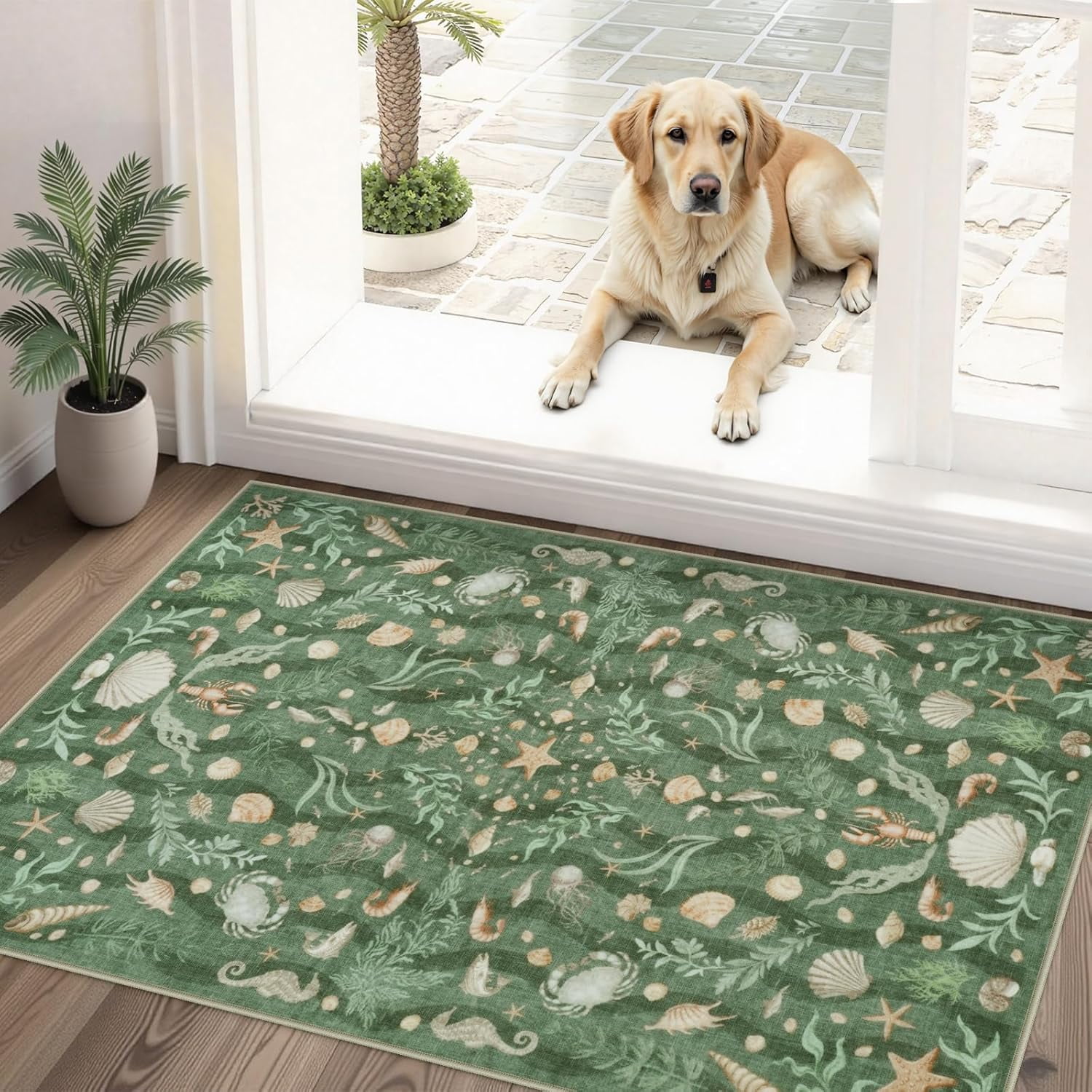 Wonnitar 2x3 Coastal Washable Rugs for Entryway, Green Vintage Non-Slip ...