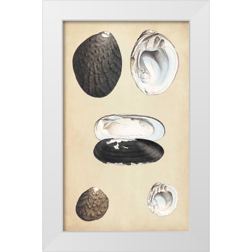 Wood 10x14 White Modern Wood Framed Museum Art Print Titled - Marine ...