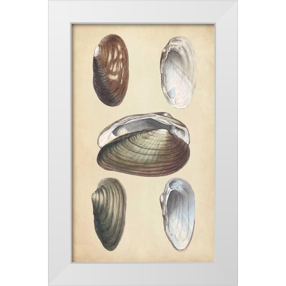 Wood 10x14 White Modern Wood Framed Museum Art Print Titled - Marine ...