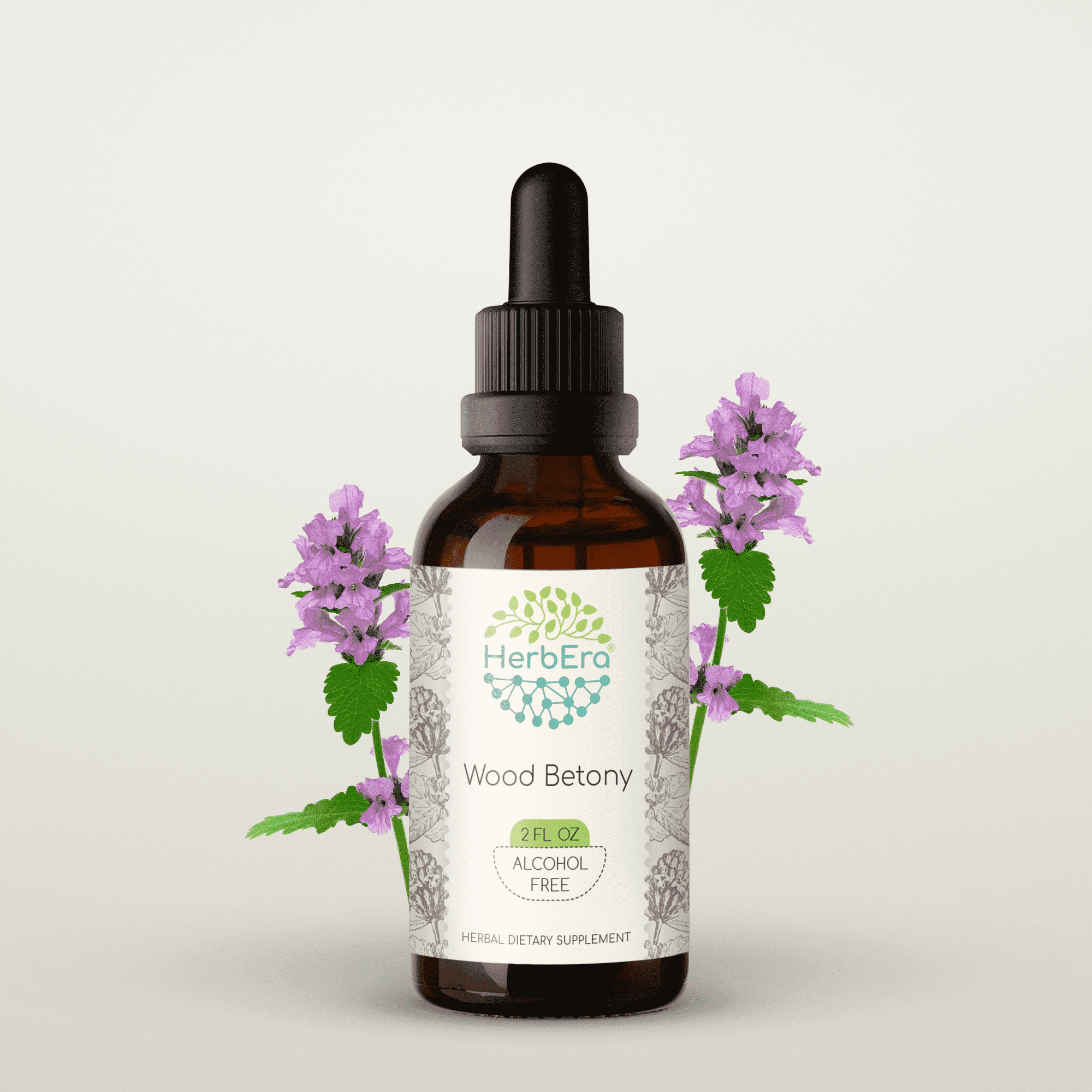 HerbEra Wood Betony Tincture, Herbal Dietary Supplement for Stress ...