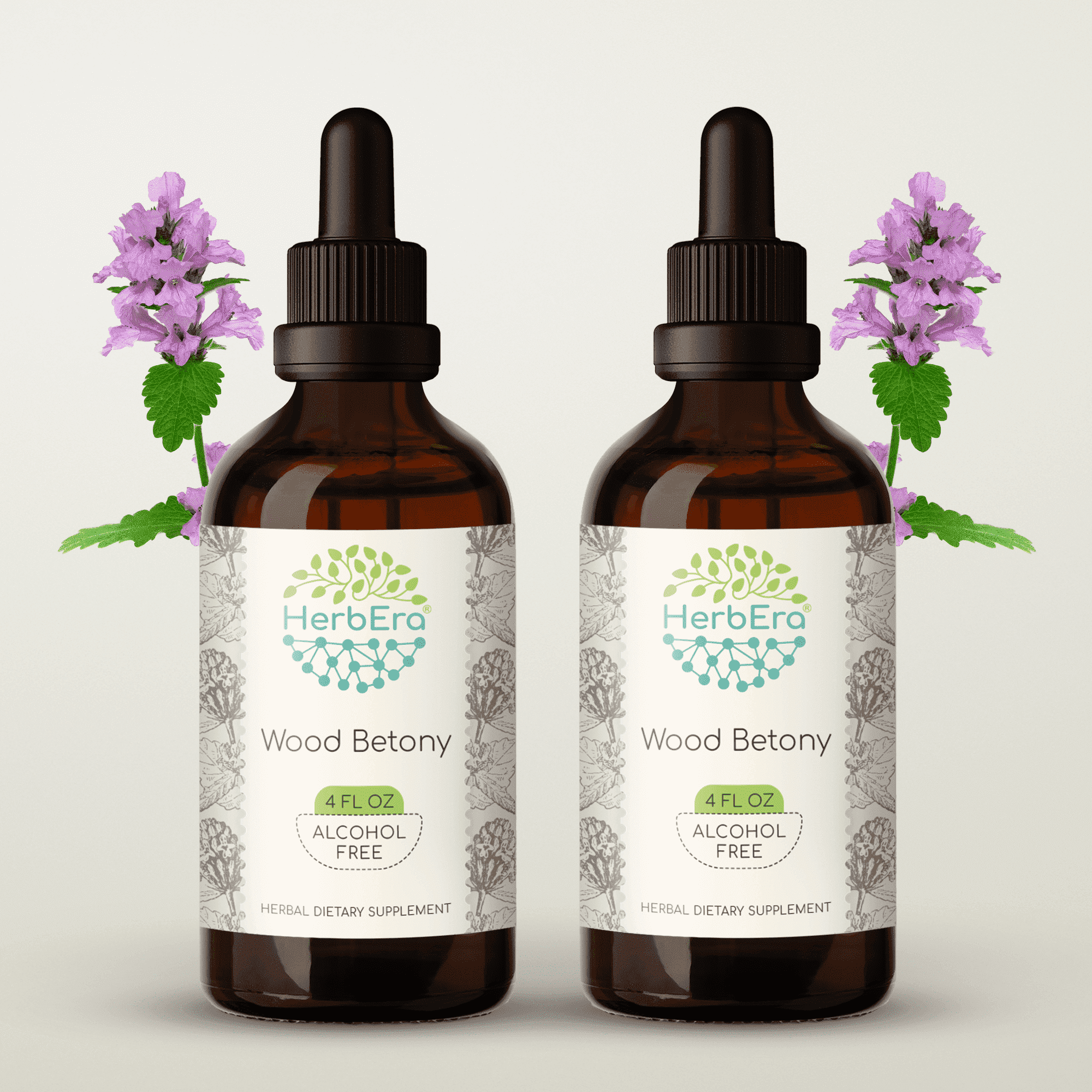 HerbEra Wood Betony Tincture, Herbal Dietary Supplement for Stress ...