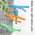 Wood Bird Stand Perch Natural Tree Branch Paw Grinding Standing ...