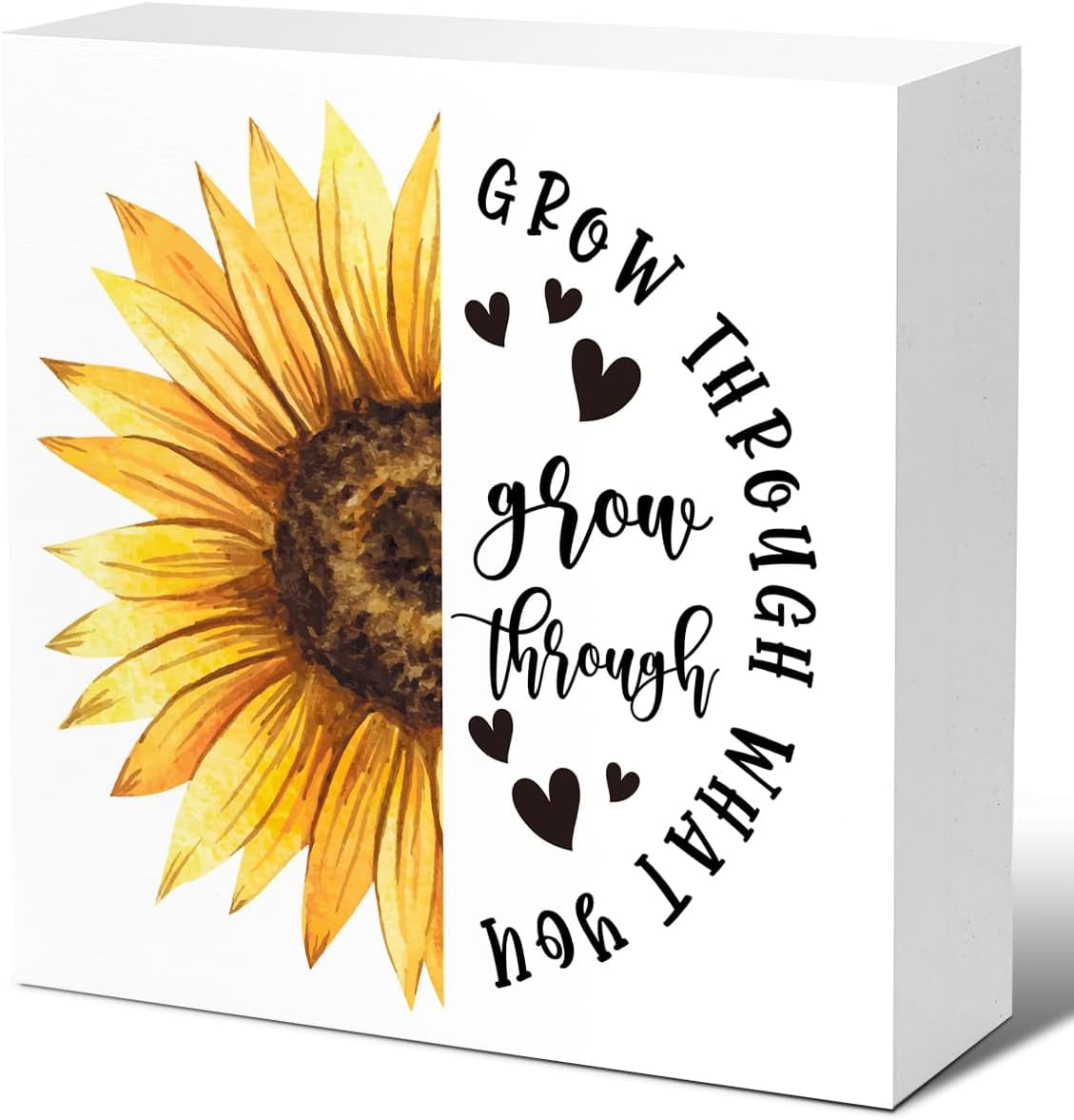 Wood Box Sign 5x5 Inch Inspirational Wood Block Signs Grow Through What ...