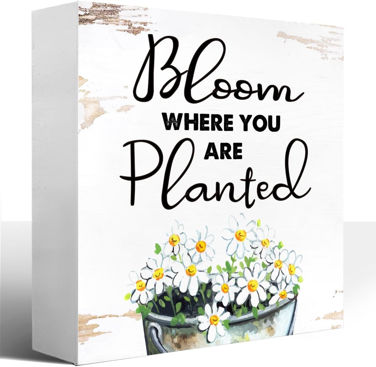 Wood Box Sign 7x7 Inch Rustic Spring Wood Block Signs Bloom Where You ...