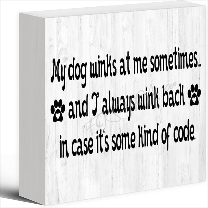 Wood Box Sign My Dog Winks At Me Sign Some Kind Of Code Funny Dog Wood ...