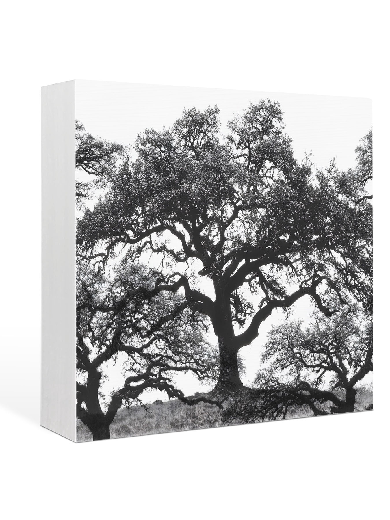 Wood Box Sign Oak Tree Forest Square Boxes Sgin Desk Decor Decorative ...