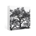 Wood Box Sign Oak Tree Forest Square Boxes Sgin Desk Decor Decorative ...