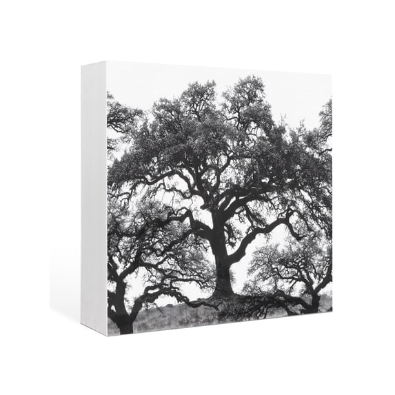 Wood Box Sign Oak Tree Forest Square Boxes Sgin Desk Decor Decorative ...