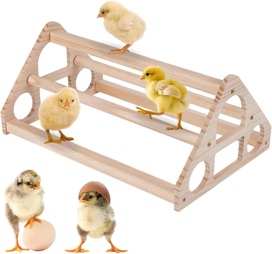 Wood Chick Roosts and Perches Stand Training Perch Tan Chicken Perch ...