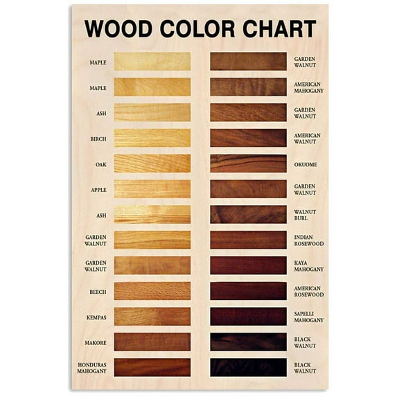 Wood Color Chart Vintage Office Decor Woodworking Basics Poster Home ...