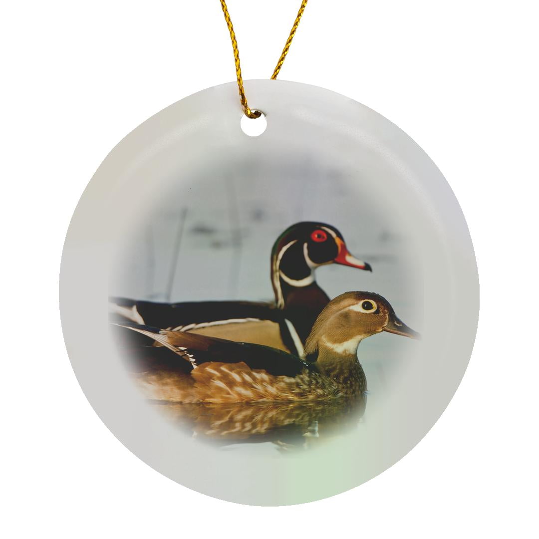 3drose, Wood Duck Male and Female in Wetland, Marion, Illinois, Usa ...