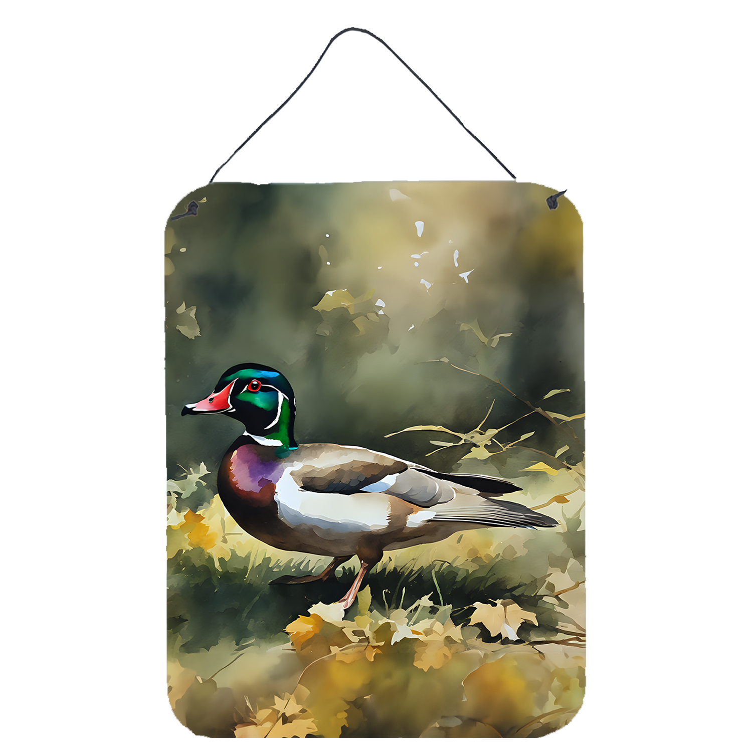 Wood Duck Wall or Door Hanging Prints 12 in x 16 in - Walmart.com