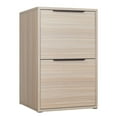 Wood File Cabinet, Lateral Vertical Filing Cabinet with 2 Drawers, Under Desk File Cabinets for ...