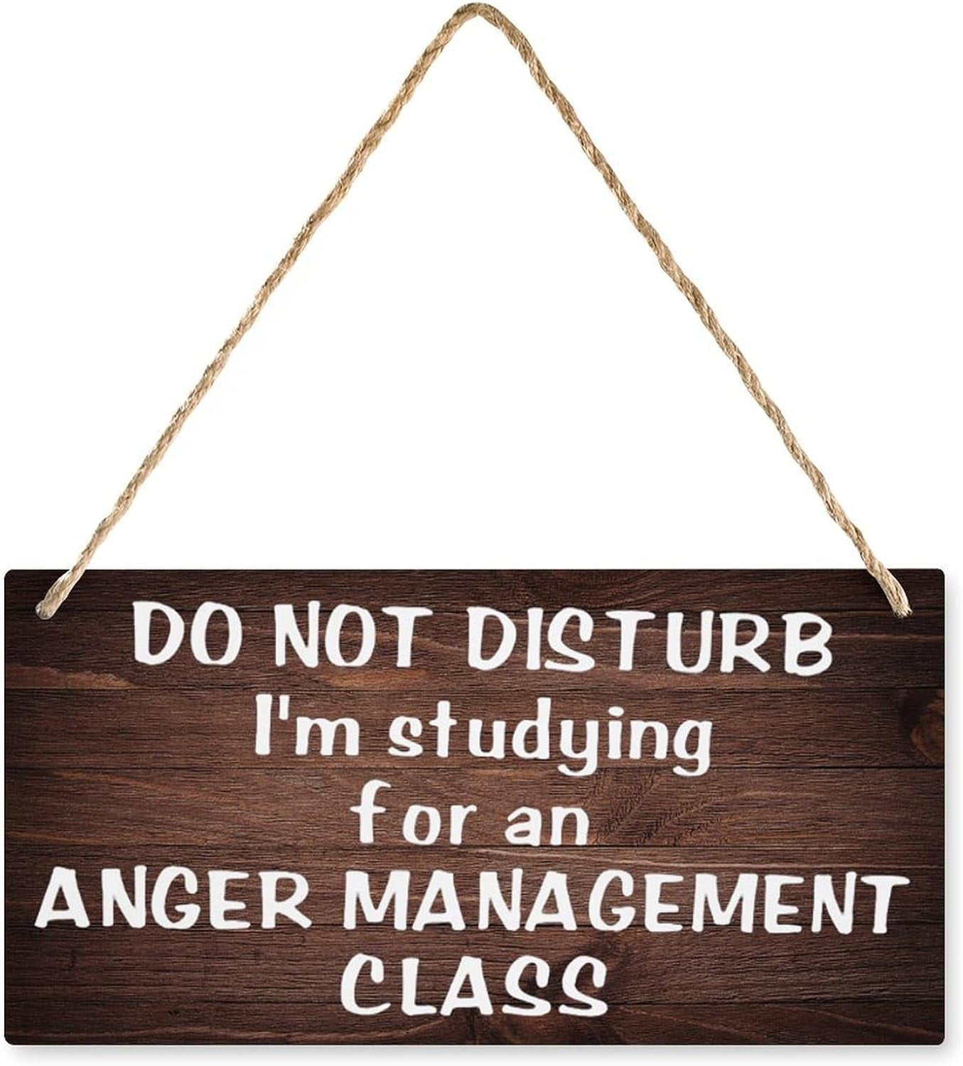 Wood Hanging Decor Sign Do Not Disturb I'M Studying For An Anger ...