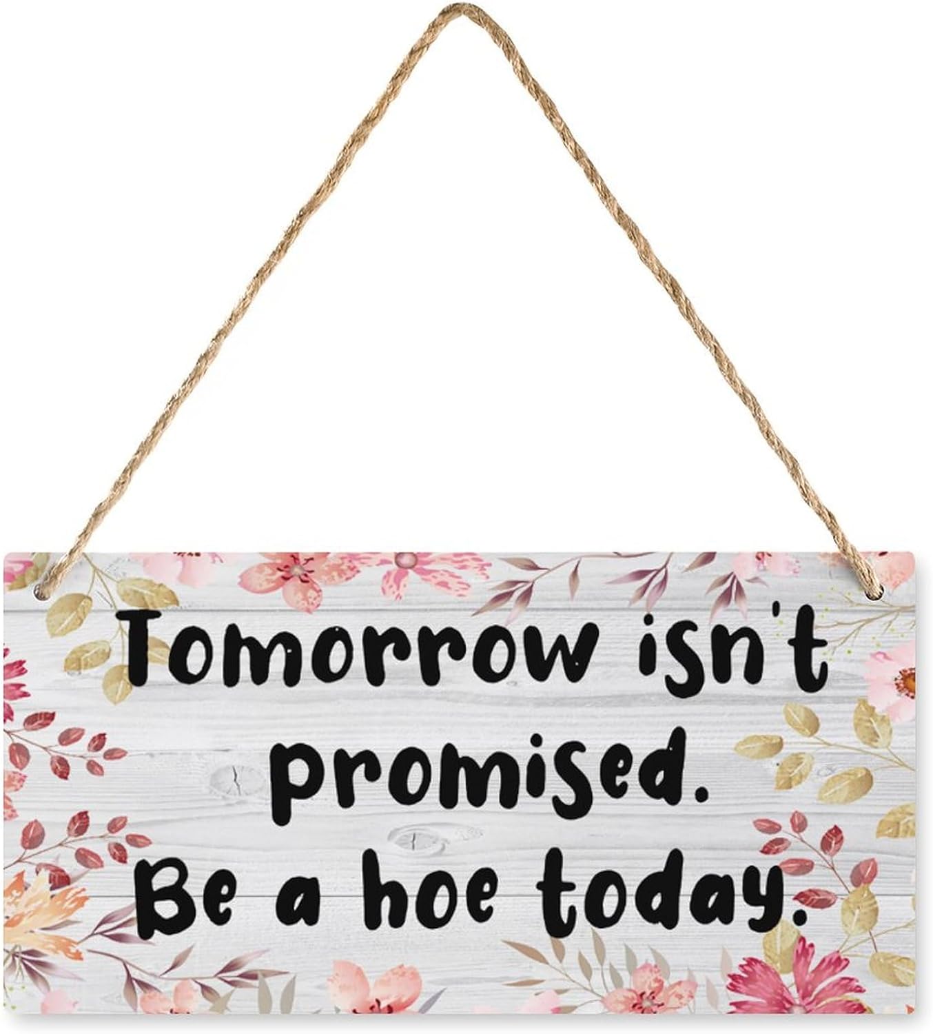 Wood Hanging Decor Sign Tomorrow Isn'T Promised. Be A Hoe Today Office ...