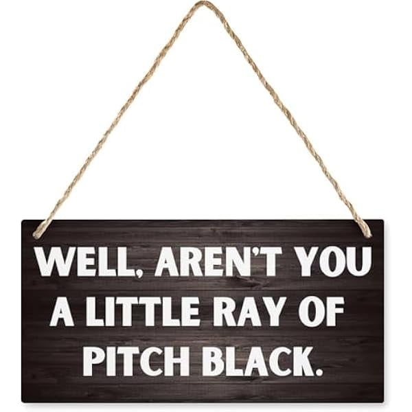 Wood Hanging Decor Sign Well Aren'T You A Little Ray Of Pitch Black ...