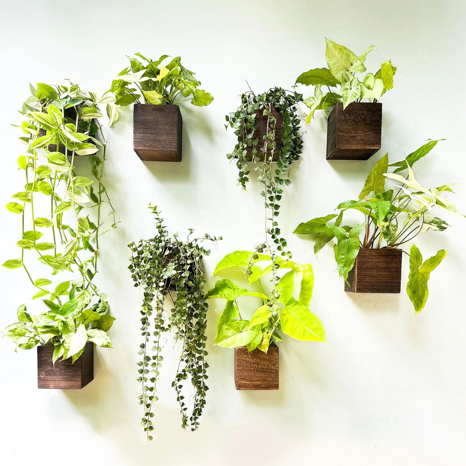 Wood Planter Box for Plants Wooden Hanging Wall Planters for Indoor ...