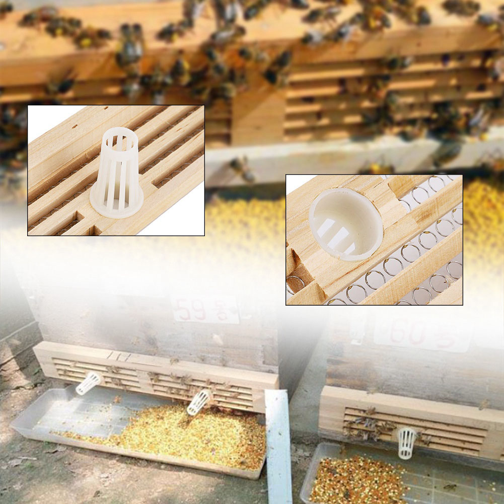 Wood Pollen Trap For Beekeeping: 4,Row Collector, Durable Easy To Use ...