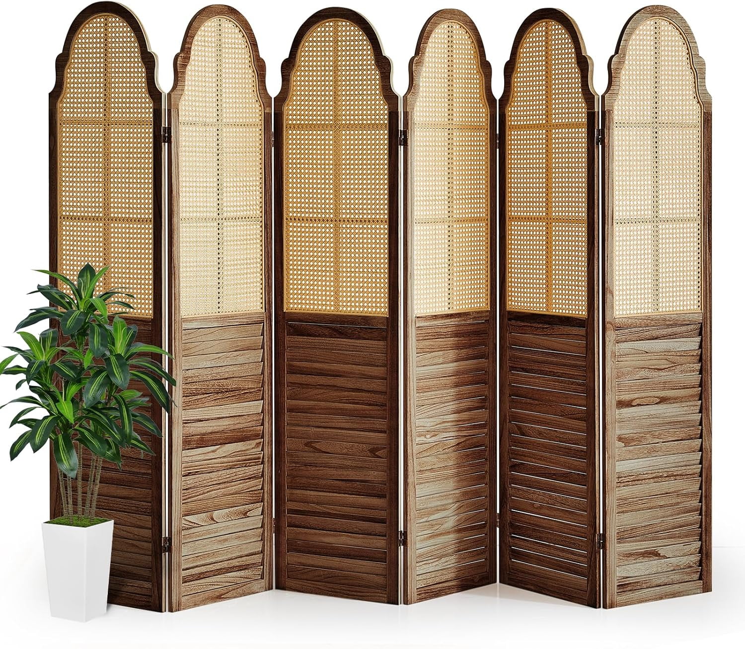 Wood Room Divider 6 Panel, Folding Privacy Screen, Rattan Room Divider ...
