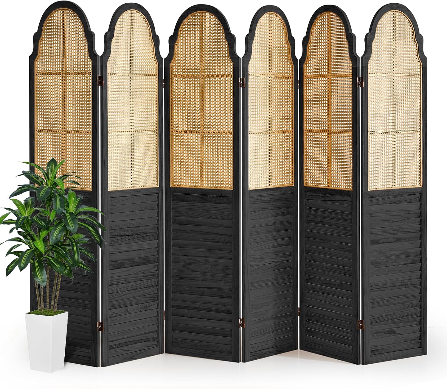 Wood Room Divider 6 Panel, Folding Privacy Screen, Rattan Room Divider ...