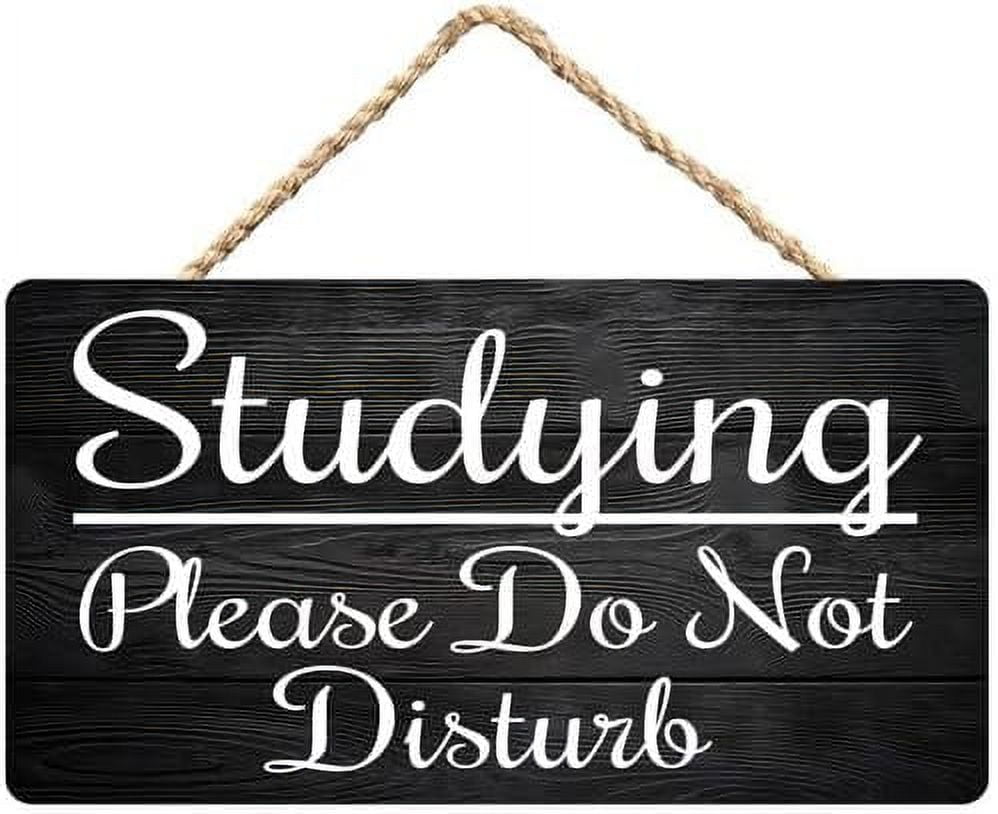 Wood Sign 10x5 Inch Everyday Business Signs - Studying Please Do Not ...