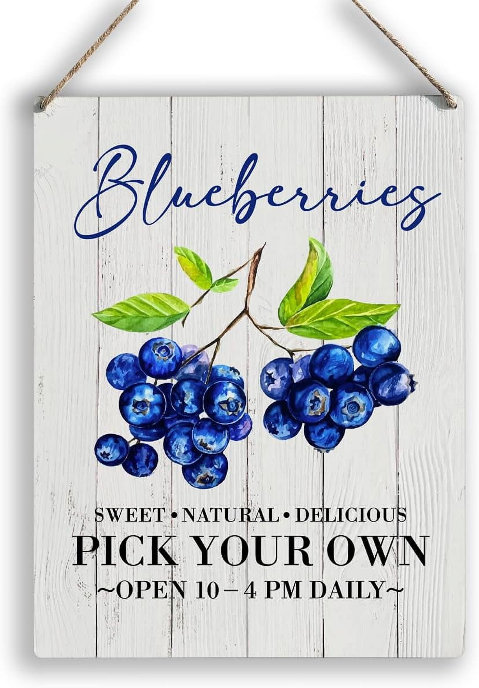Wood Sign 8x10 Inch Blueberries Wooden Rustic Signs Home Wall Decor ...