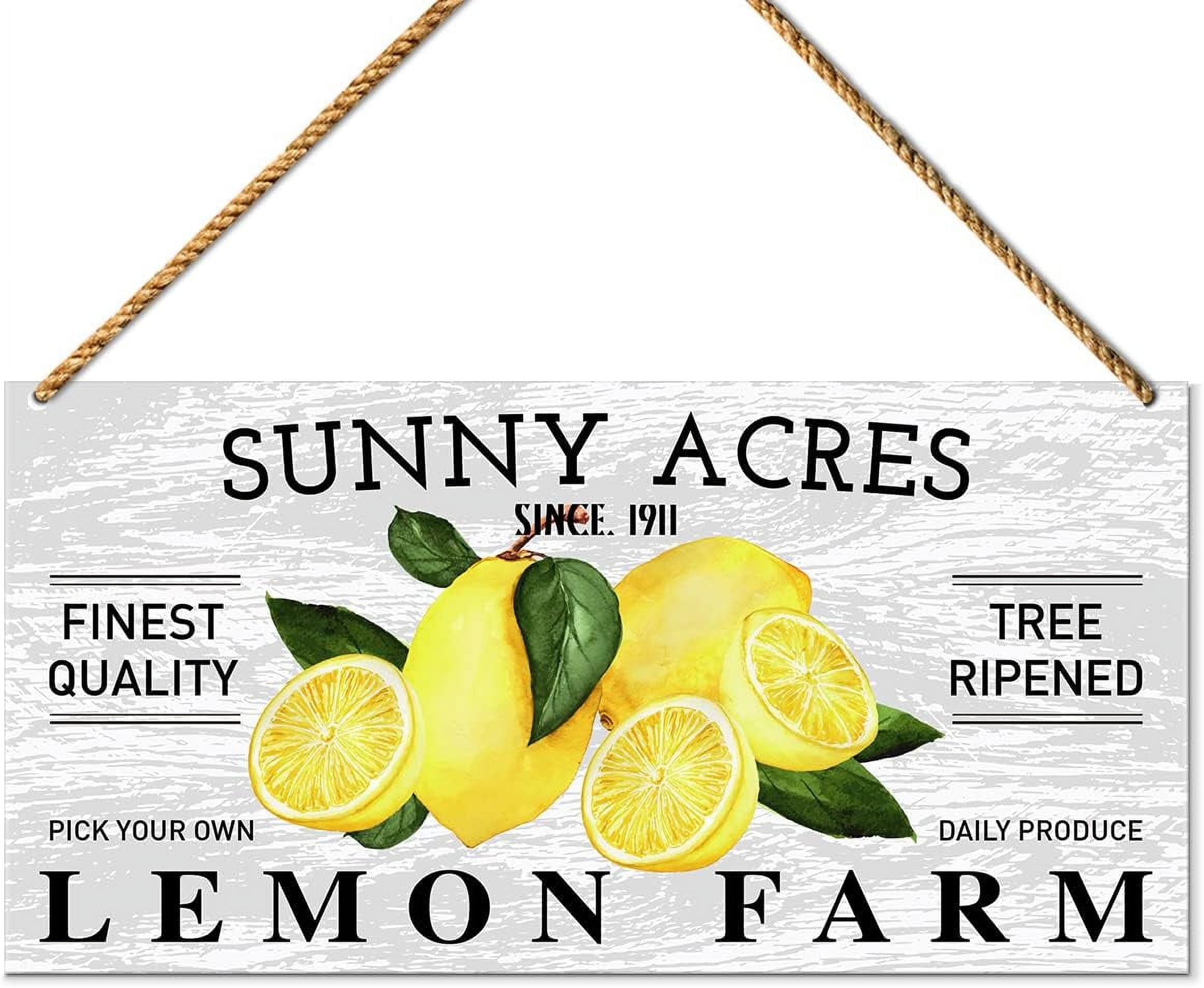 Wood Sign 5x10 Inch Farmhouse Kitchen Sign Decor Lemon Farm Pick Your ...