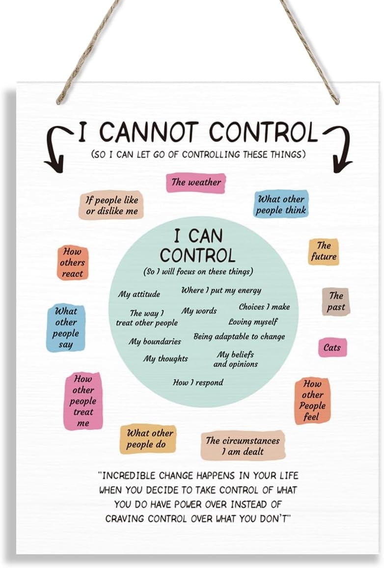 Wood Sign 8x10 Inch I Can And Cannot Control Therapy Decorations ...