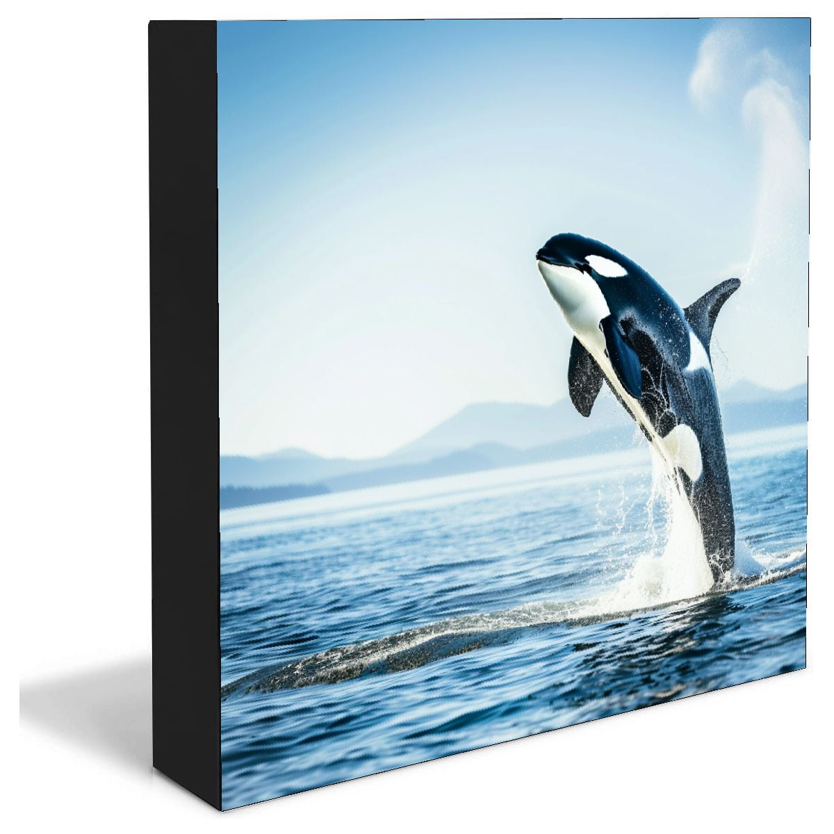 Wood Sign Orca Ocean Wildlife Theme 5 Inches Black Home Office Desk ...