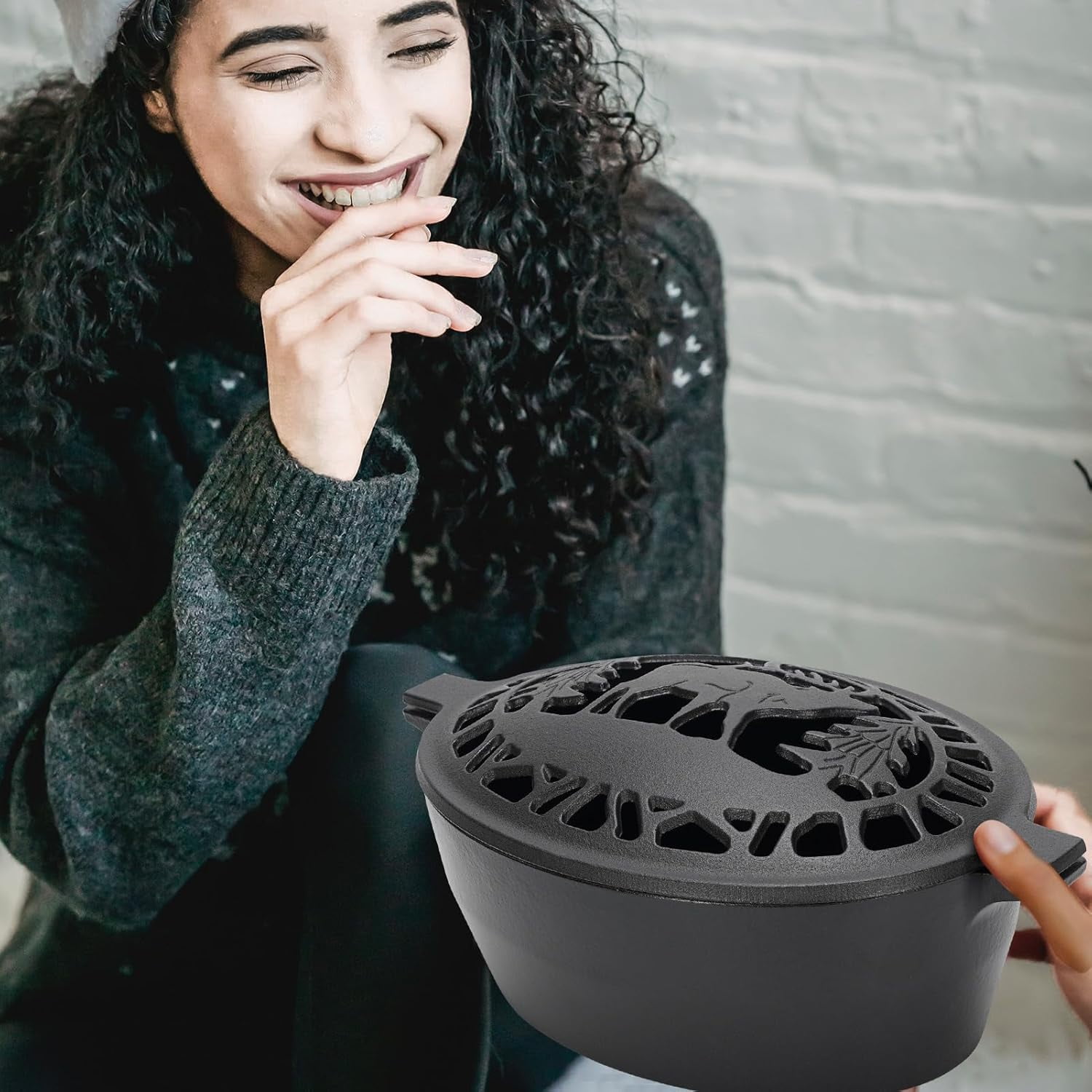 Wood Stove Steamer 2.5 Quart, Humidifier with Decorative Deer Pattern ...