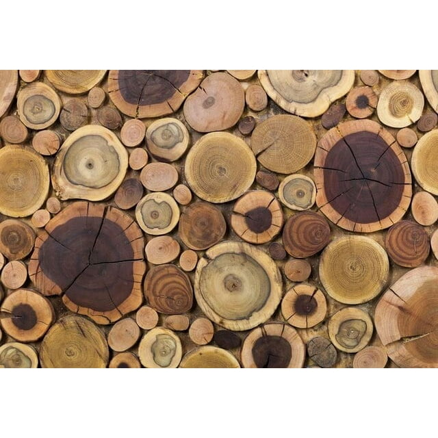 Wood Timber Stem Grunge Portrait Photography Backdrops Photographic ...