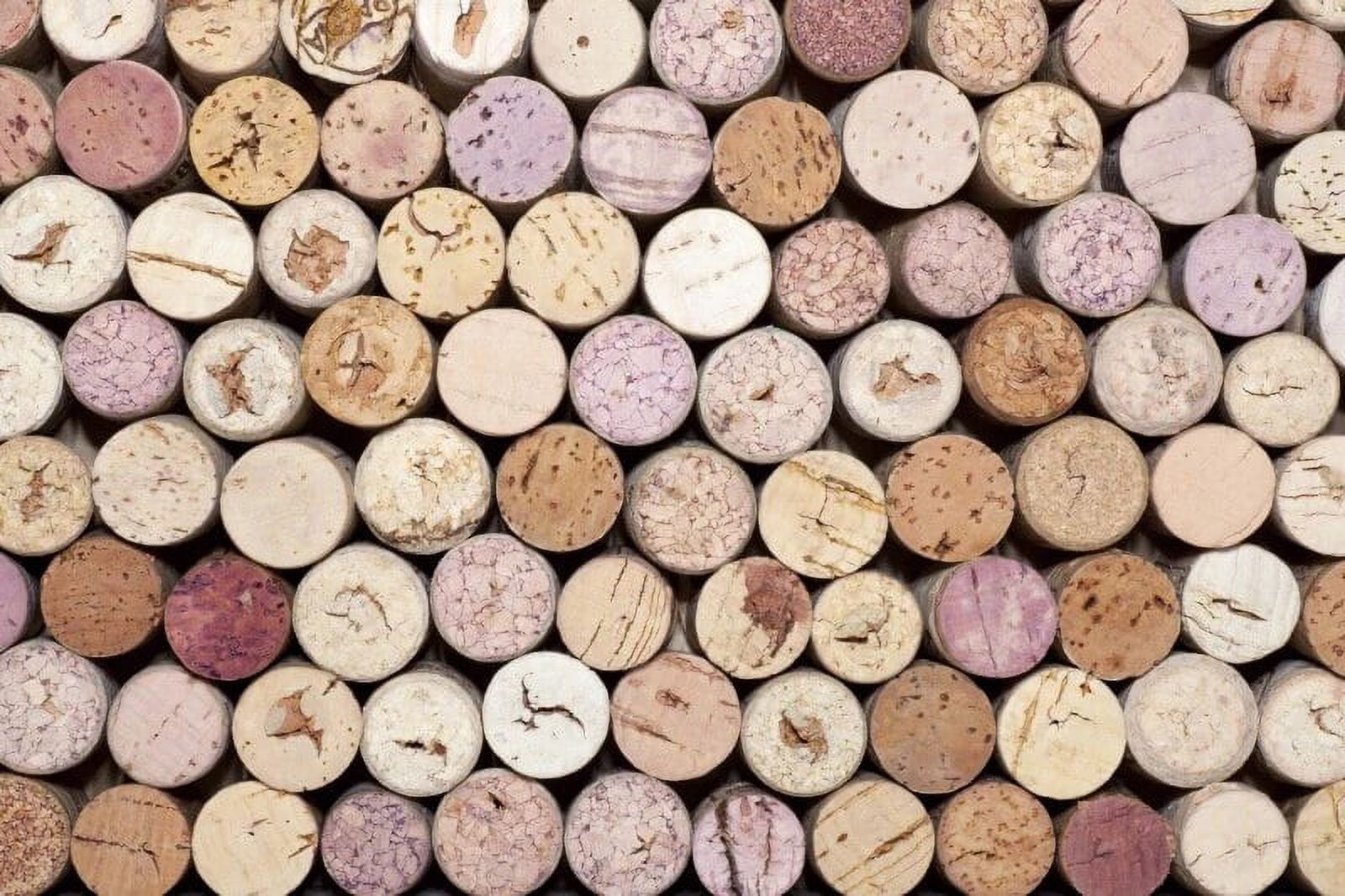 Wood Timber Stem Grunge Portrait Photography Backdrops Photographic ...