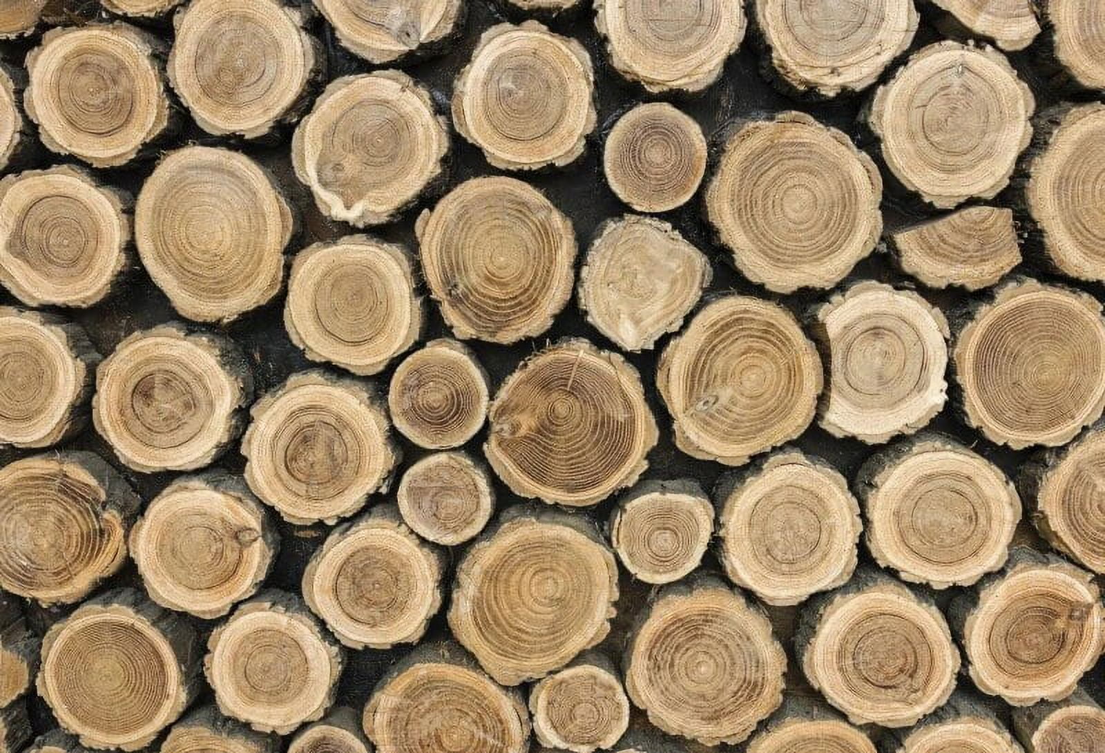 Wood Timber Stem Grunge Portrait Photography Backdrops Photographic ...