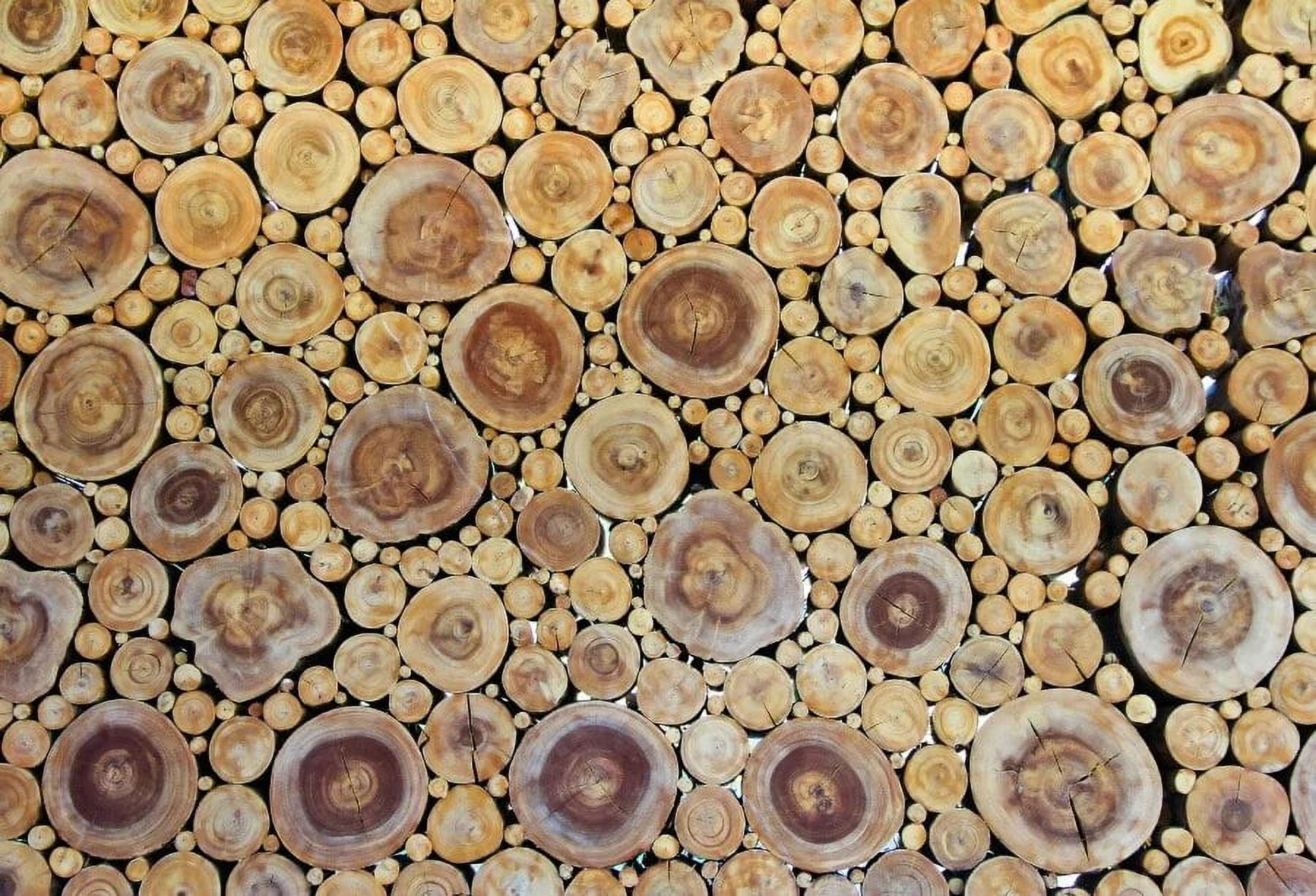 Wood Timber Stem Grunge Portrait Photography Backdrops Photographic ...