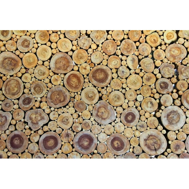 Wood Timber Stem Grunge Portrait Photography Backdrops Photographic ...