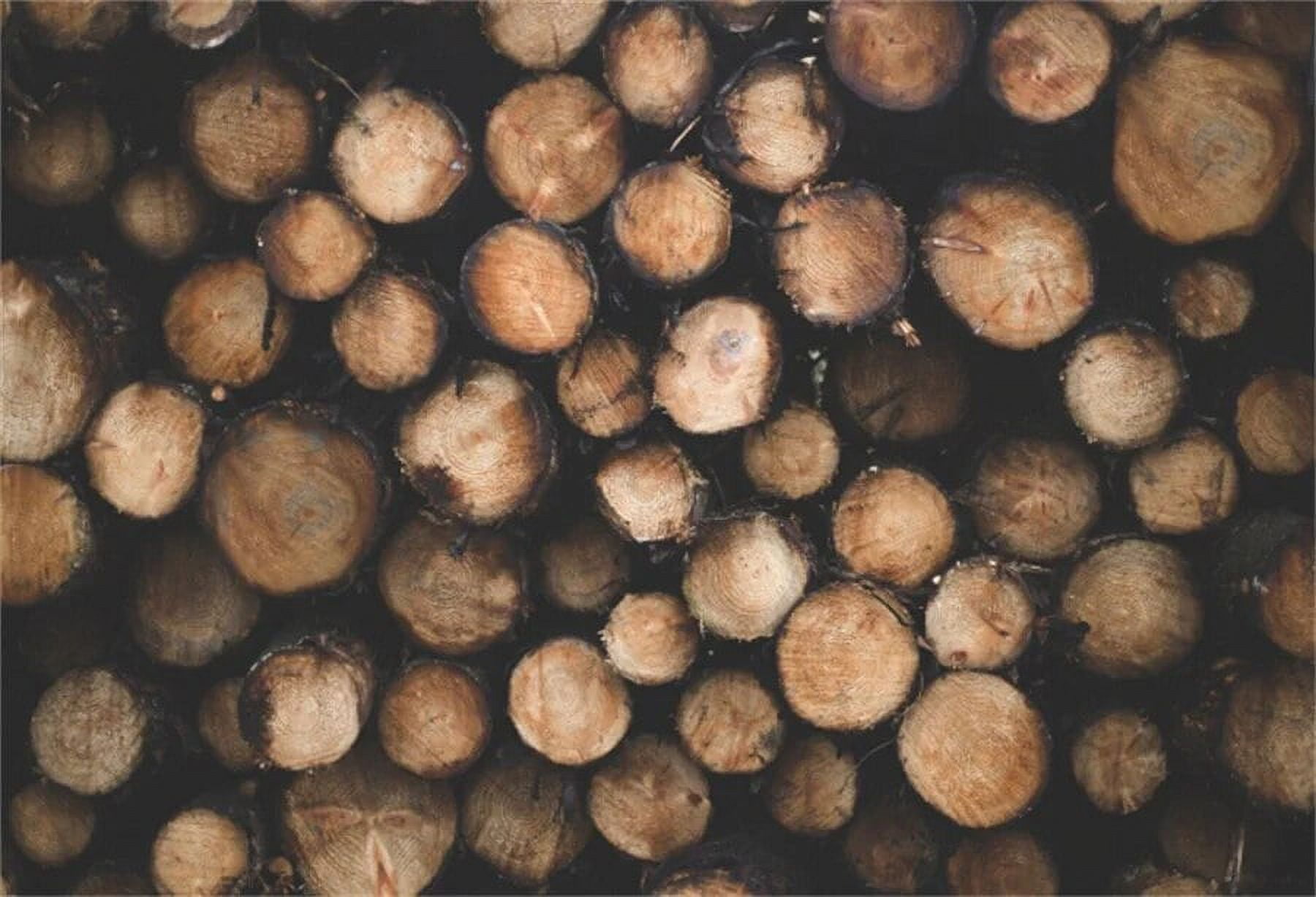 Wood Timber Stem Grunge Portrait Photography Backdrops Photographic ...