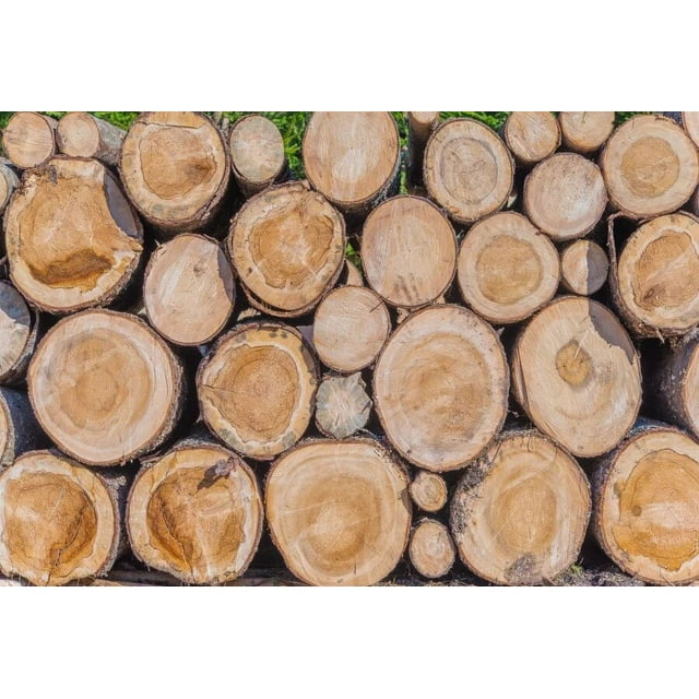 Wood Timber Stem Grunge Portrait Photography Backdrops Photographic ...