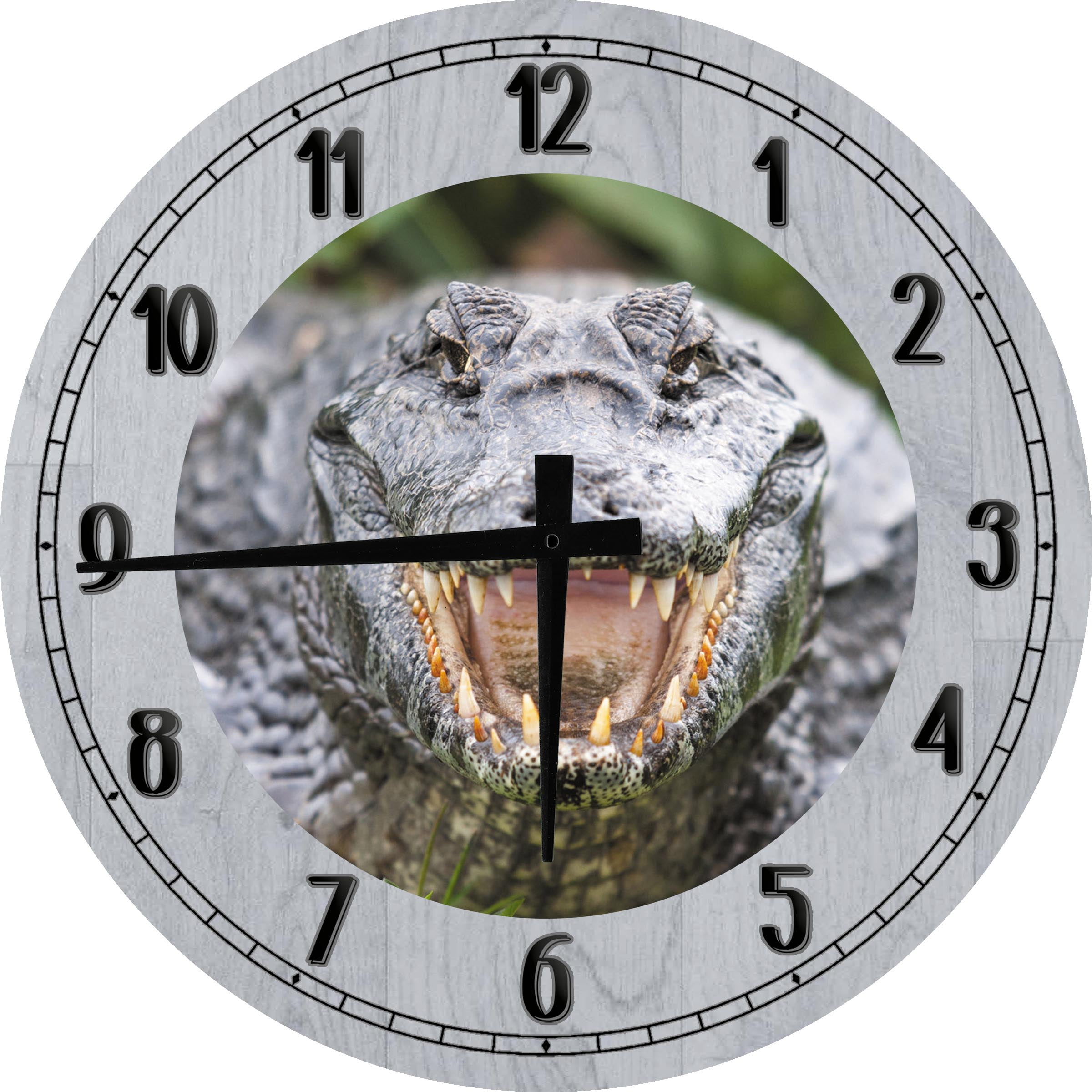 Wood Wall Clock 12 Inch Alligator Crocodile Mouth Open Swamp King Round ...